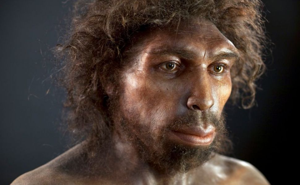 Primul plaman artificial din Romania este folosit de un pacient al ...